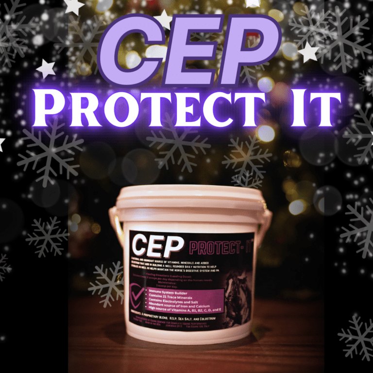 CEP Gear Down 24/7 | Complete Equine Performance
