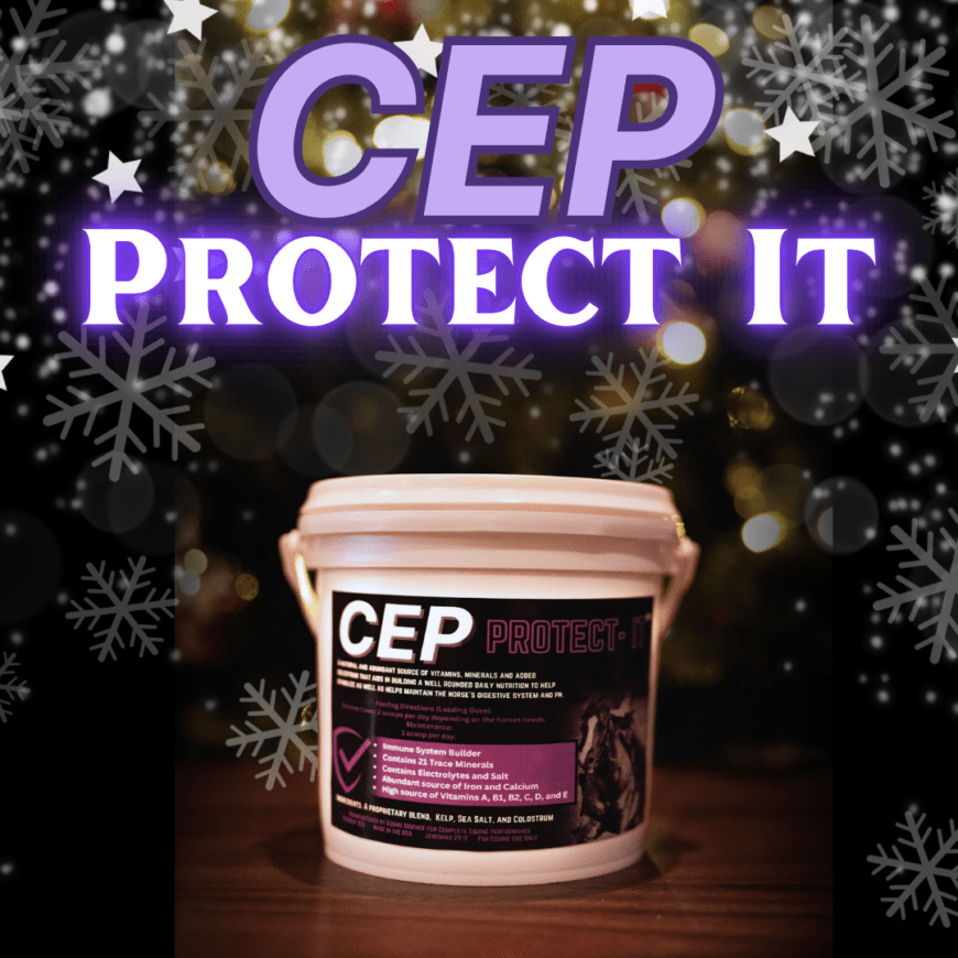 CEP Gear Down 24/7 | Complete Equine Performance