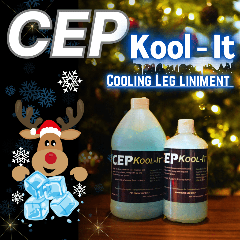 CEP Kool-It | Complete Equine Performance