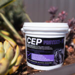 CEP Landing | Complete Equine Performance