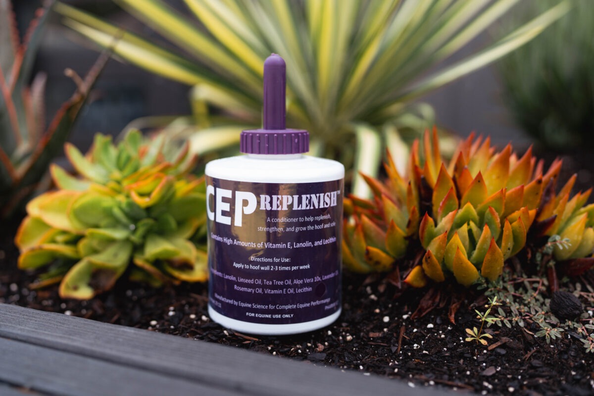 CEP Replenish Hoof Paint | Complete Equine Performance
