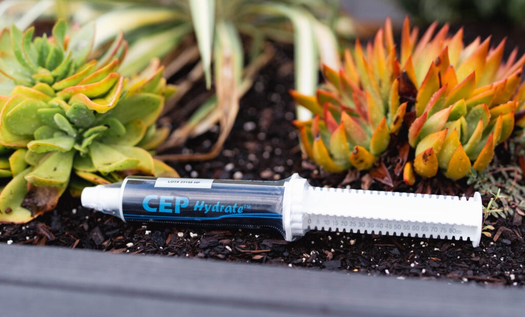 CEP Hydrate Paste | Complete Equine Performance
