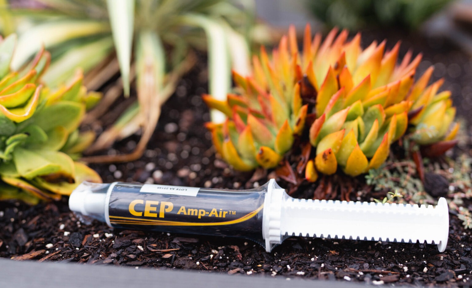 CEP Amp-Air Paste | Complete Equine Performance