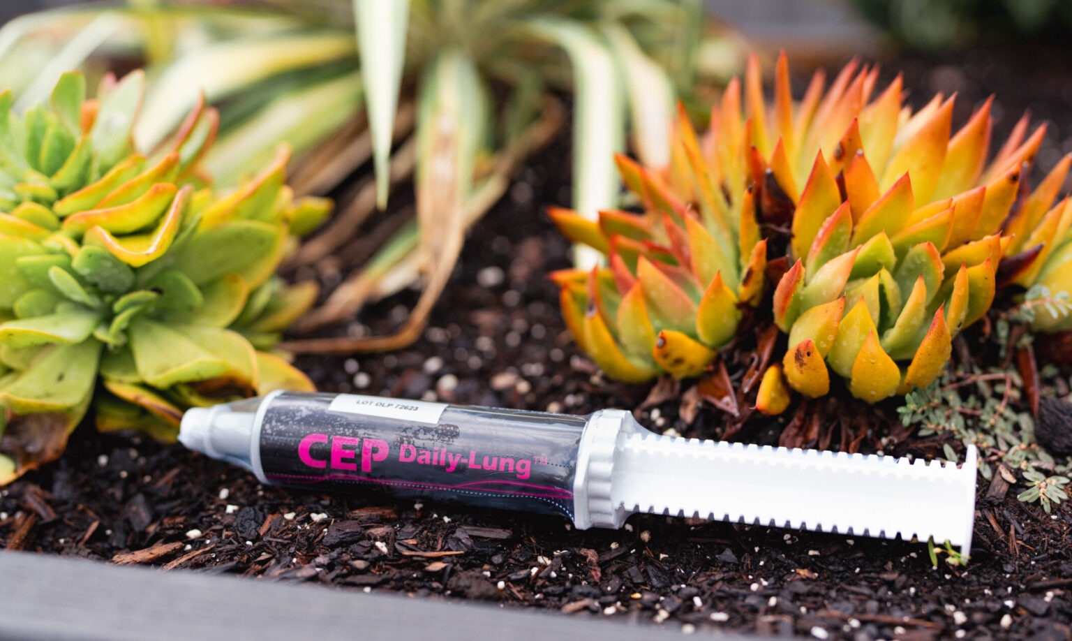 CEP Daily-Lung Paste | Complete Equine Performance