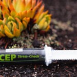 CEP Kool-It | Complete Equine Performance