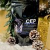 CEP Store | Complete Equine Performance