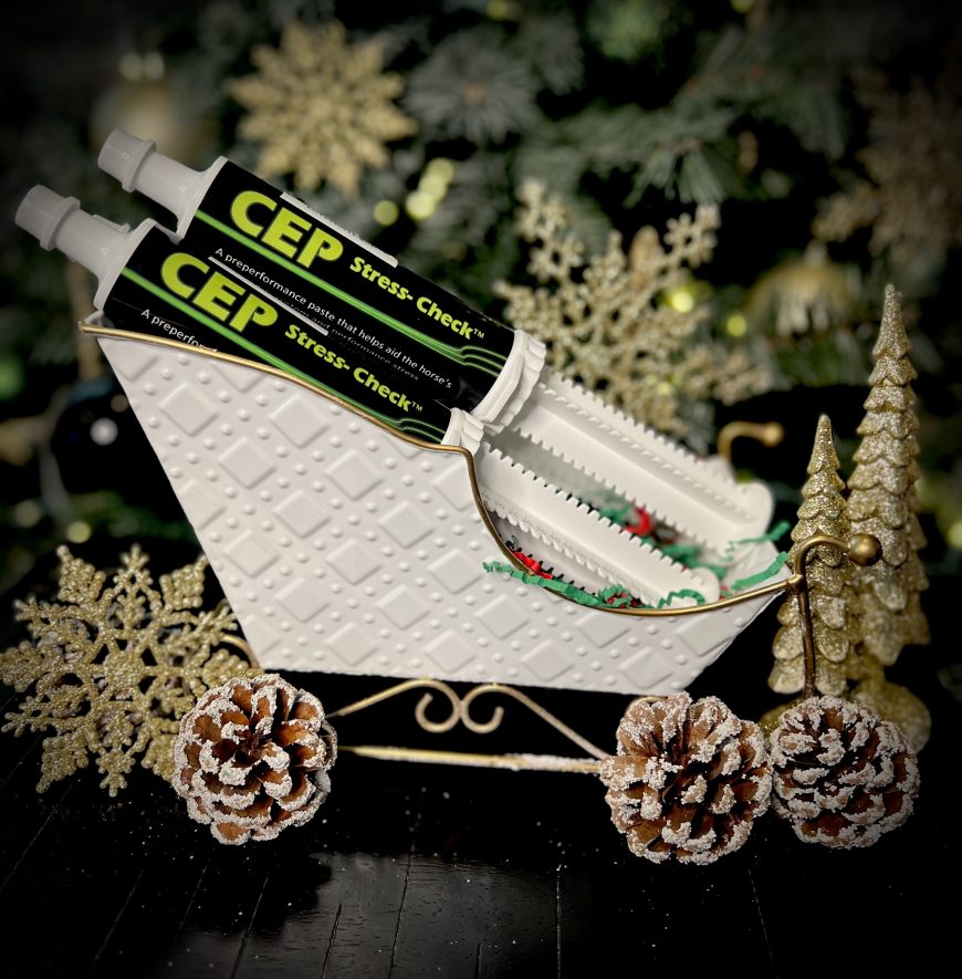 CEP Stress-Check Paste | Complete Equine Performance