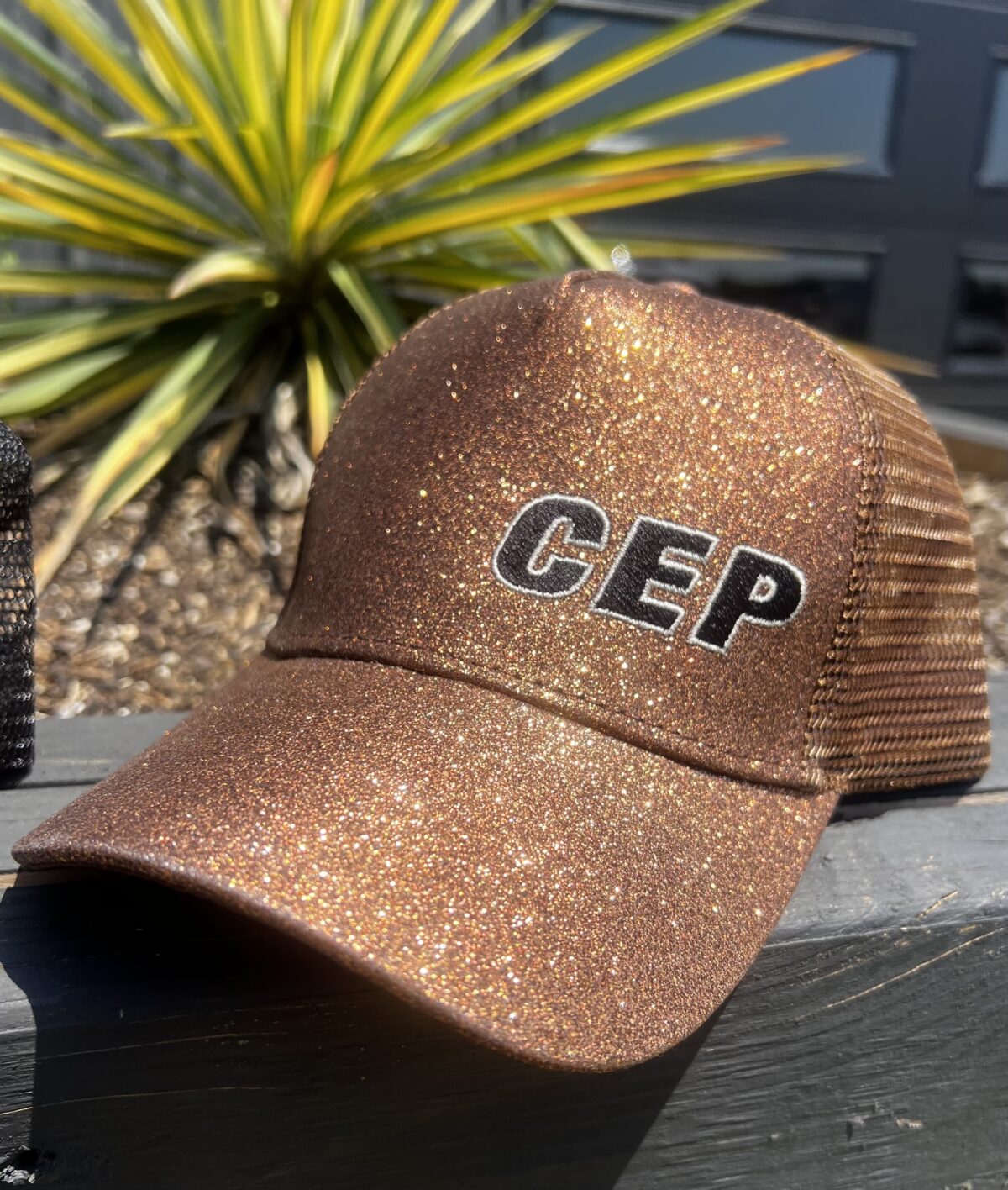 CEP Branded Hat | Complete Equine Performance