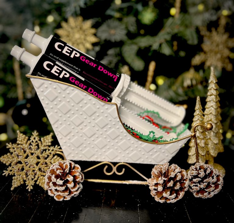 CEP Gear Down Paste | Complete Equine Performance