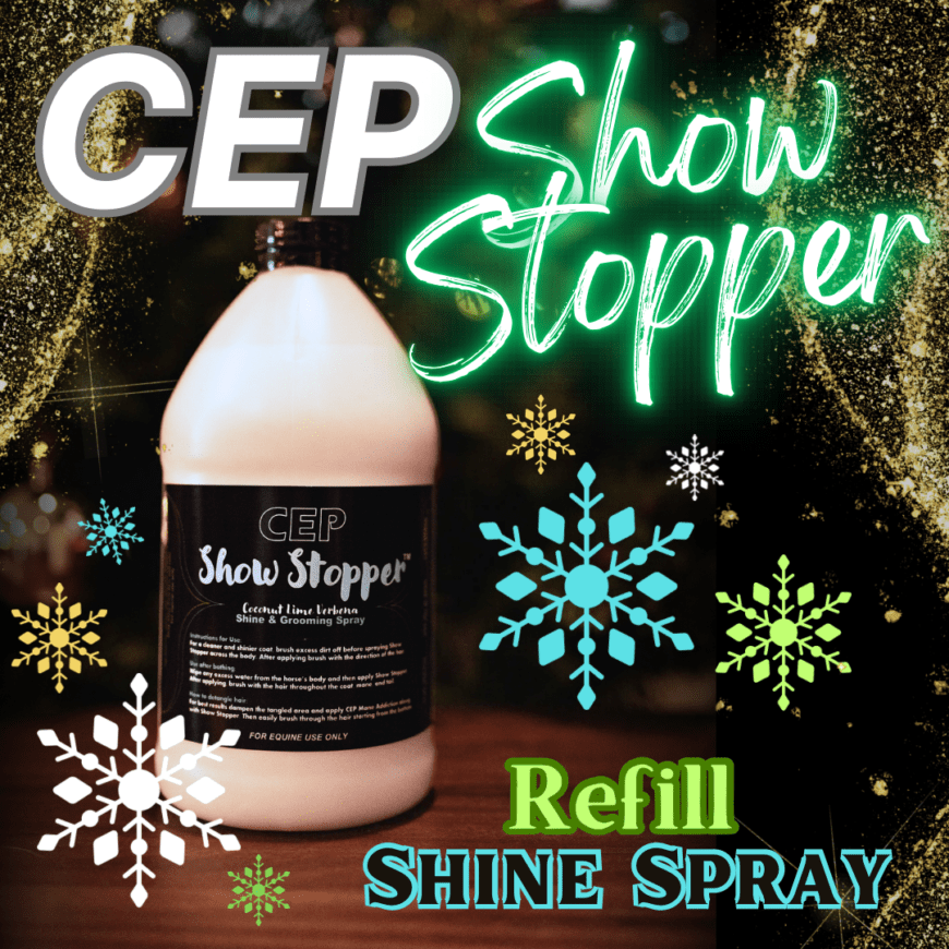 CEP Gear Down 24/7 | Complete Equine Performance