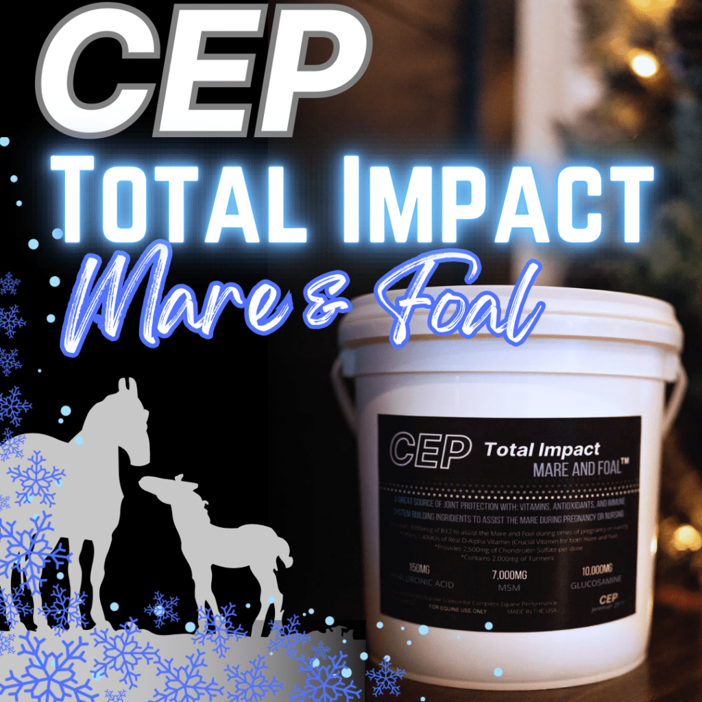 CEP Total Impact Mare and Foal | Complete Equine Performance