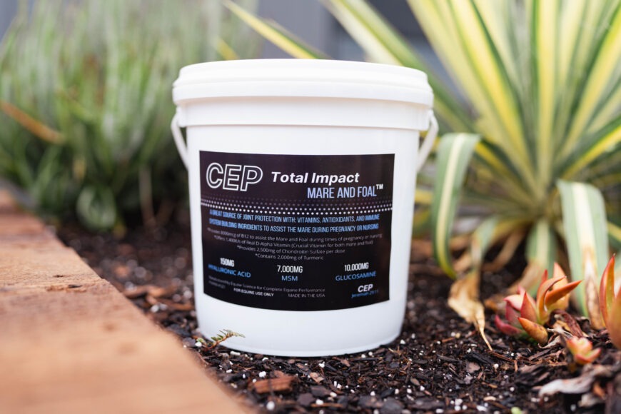 Complete Equine Performance | Complete Equine Performance