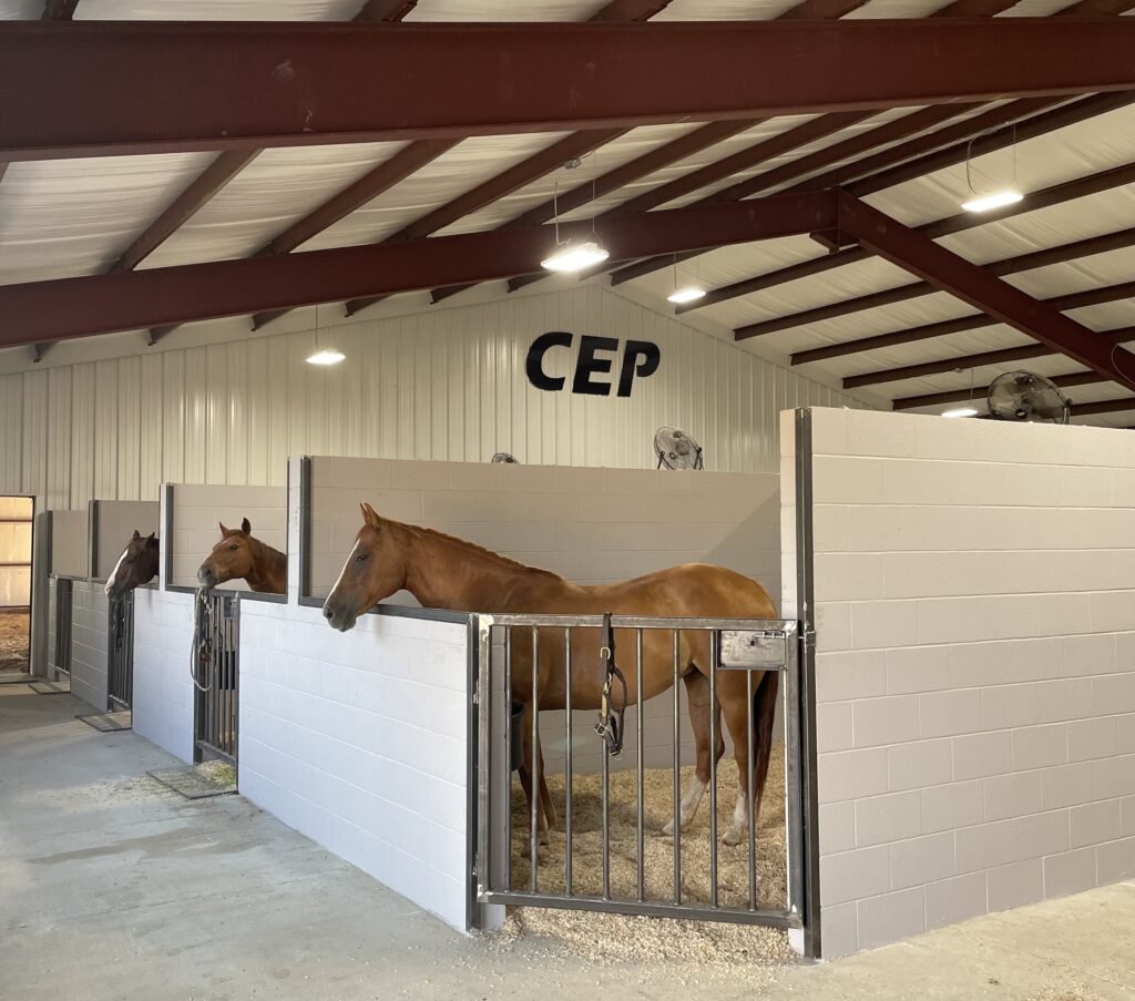 Complete Equine Performance | Complete Equine Performance