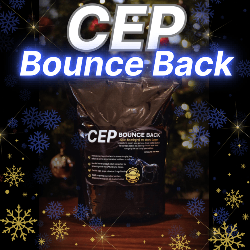 CEP Bounce Back | Complete Equine Performance