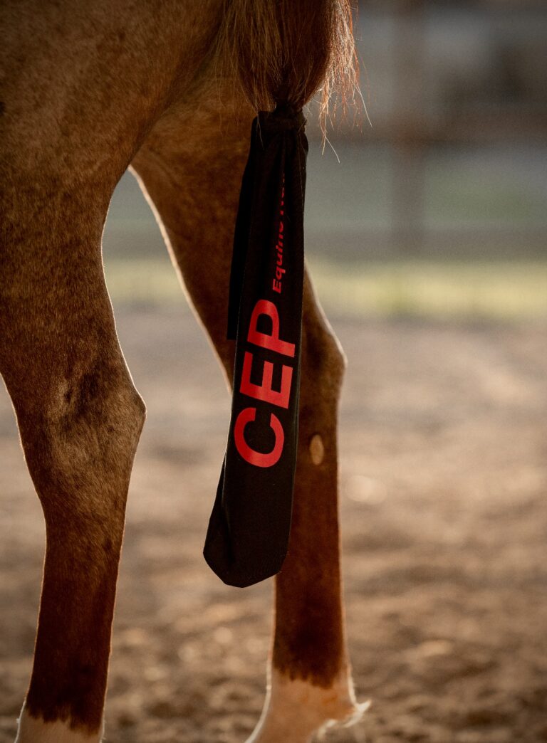 CEP Tail Bag | Complete Equine Performance