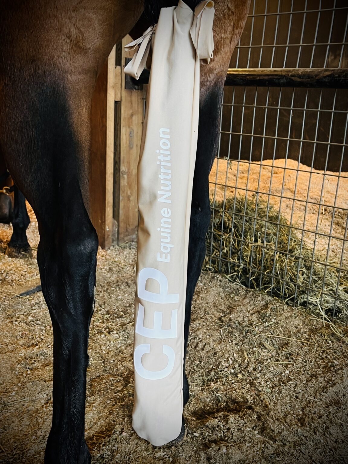 Complete Equine Performance | Complete Equine Performance