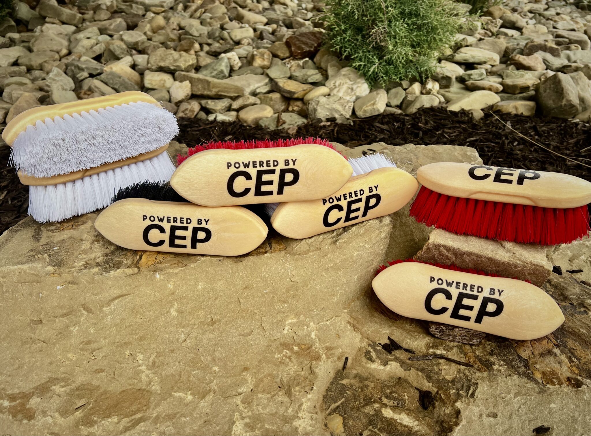 Complete Equine Performance | Complete Equine Performance