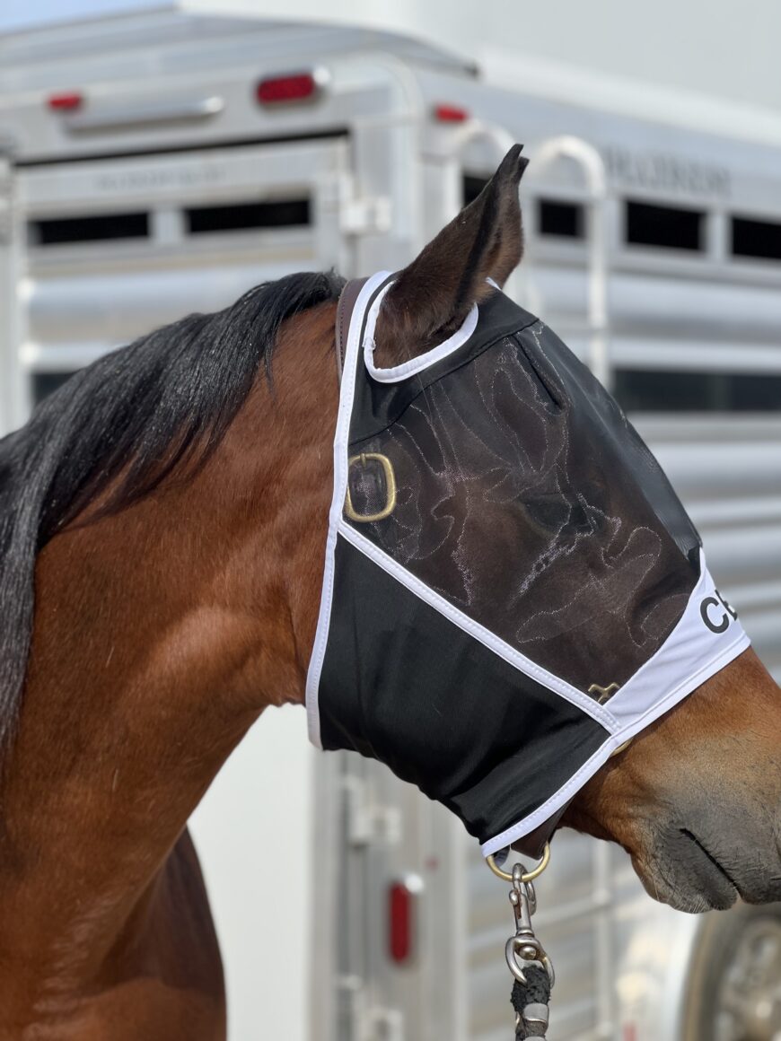 CEP Fly Mask | Complete Equine Performance