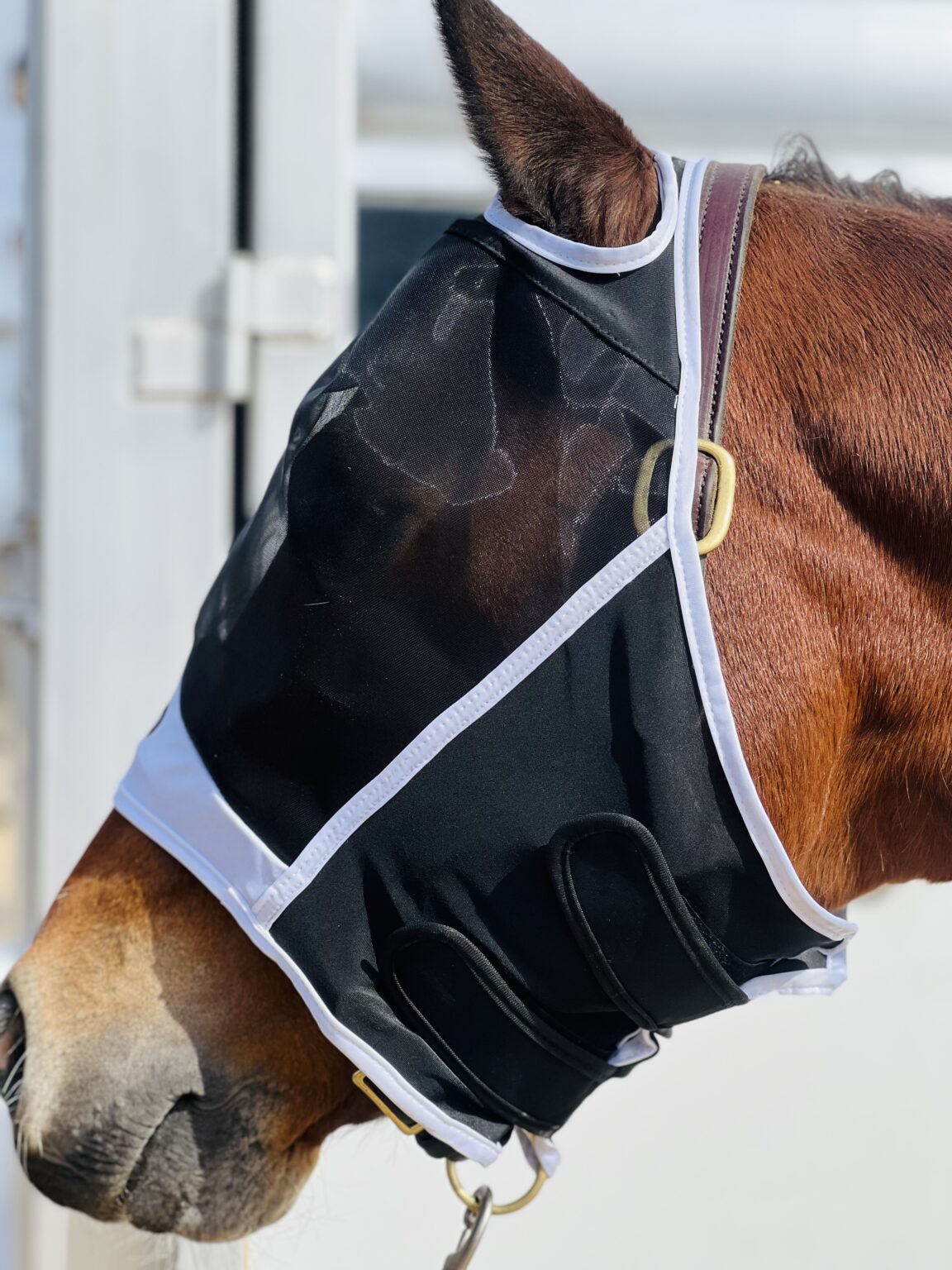 CEP Fly Mask | Complete Equine Performance
