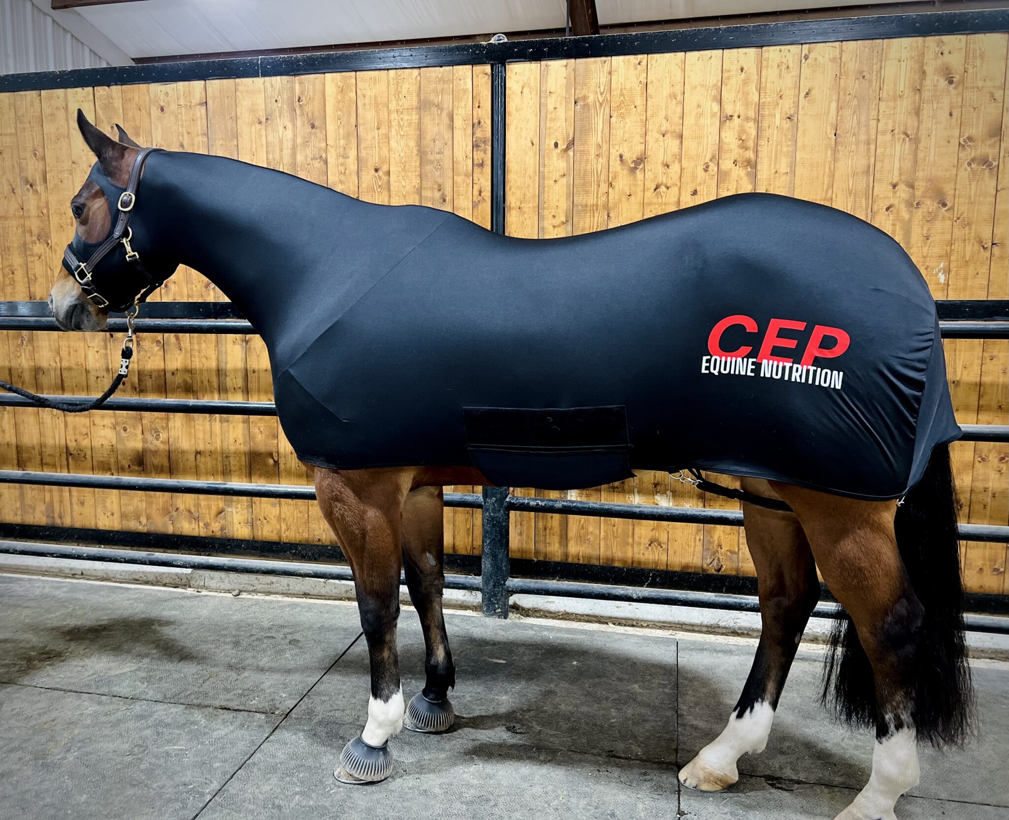 Complete Equine Performance | Complete Equine Performance