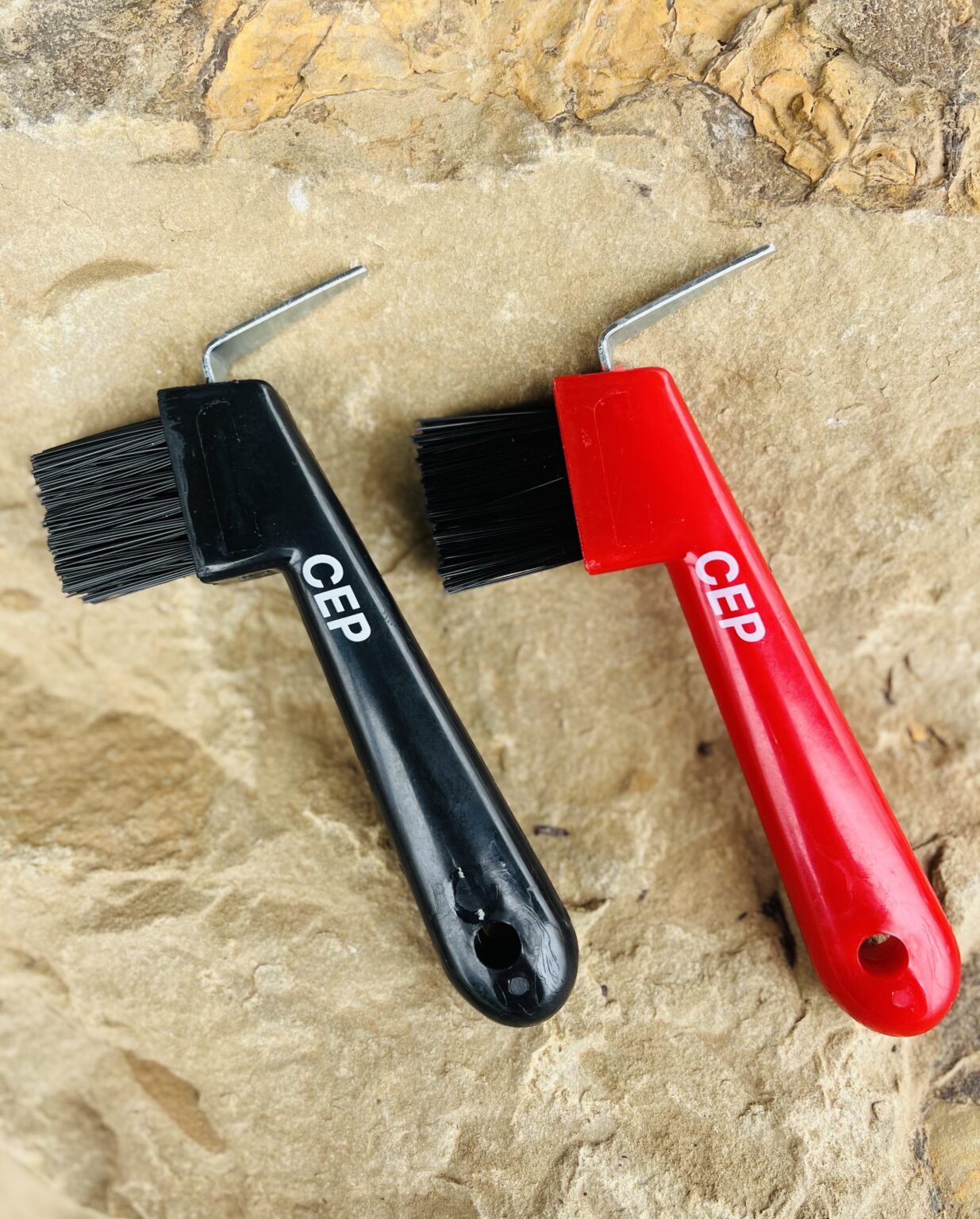 Complete Equine Performance | Complete Equine Performance